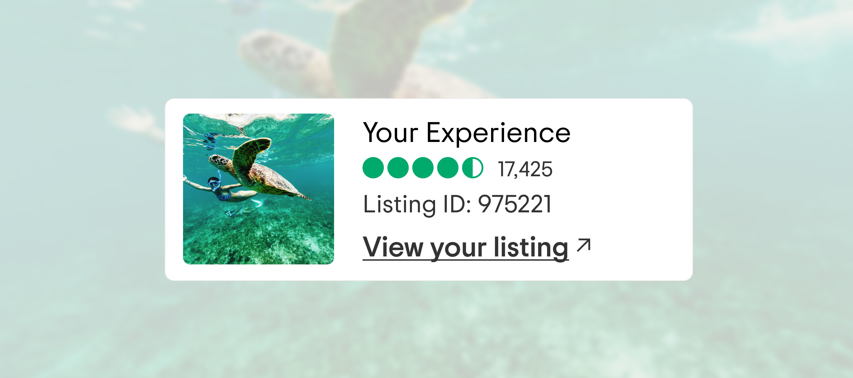 Explore the new Management Center for experience partners